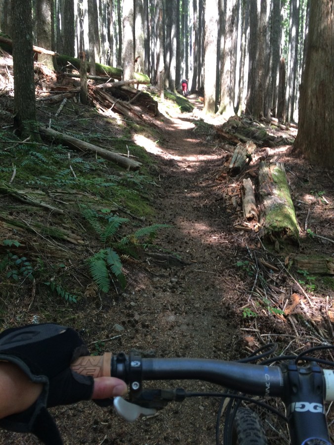Siouxon/Huffman Peak Loop | Learning to ride.